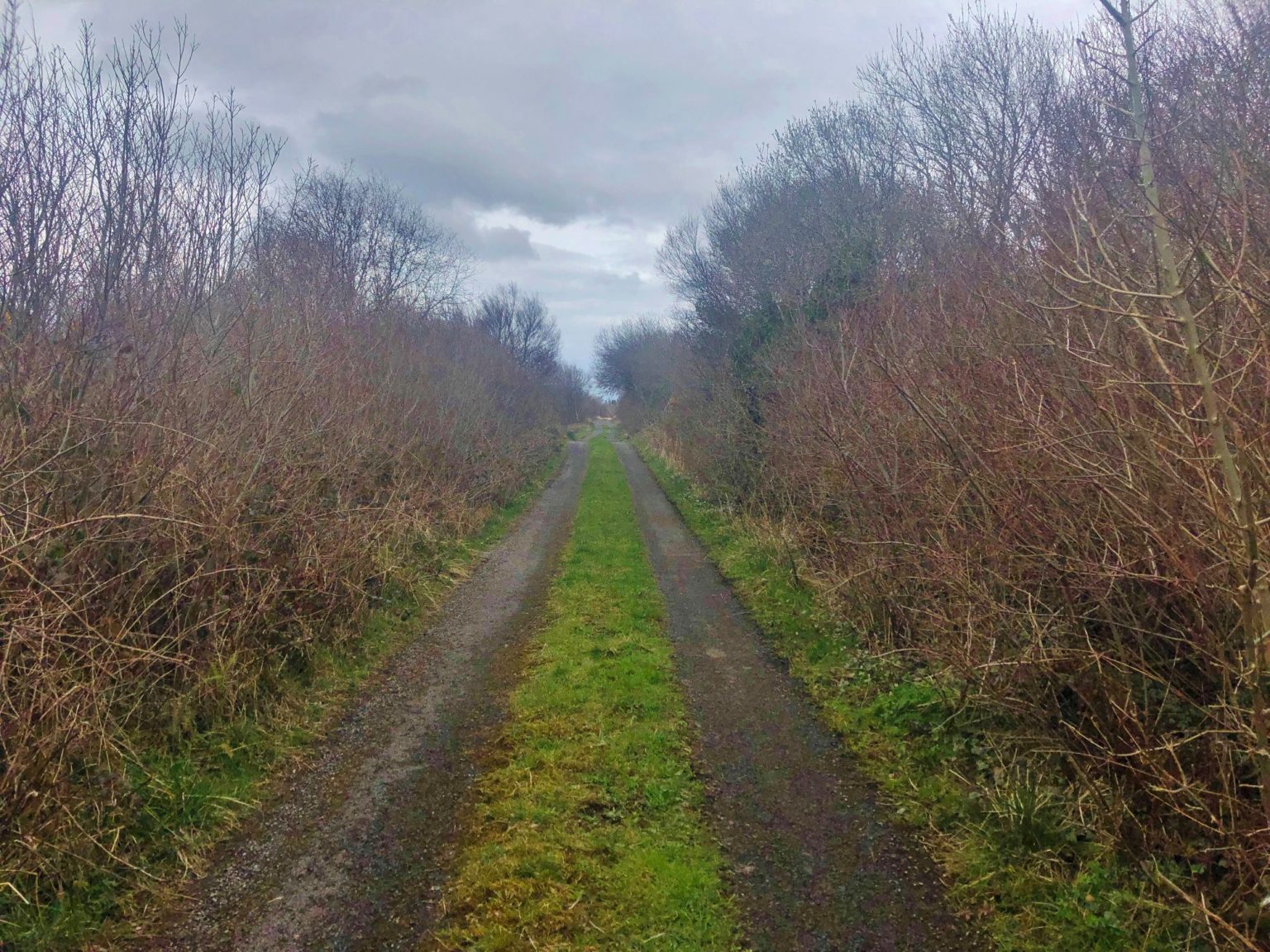 Splendid Isolation Day 18 The Old Bog Road (5) – Institute of Study ...