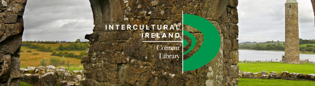 Virtual Global Studies – Institute of Study Abroad Ireland